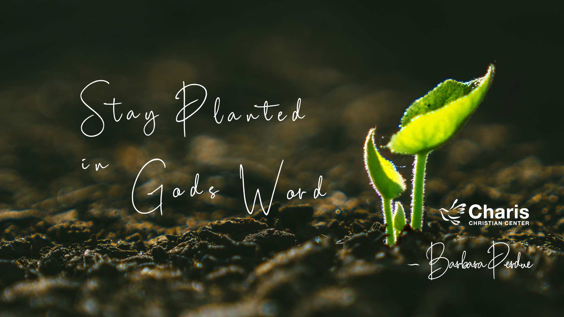 Stay Planted in God's Word - Charis Christian Center
